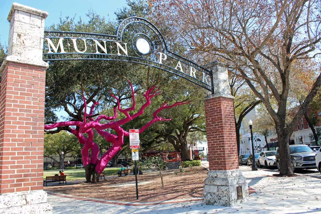 Artist Wrapping Up Pink Oak Project in Munn Park - LkldNow