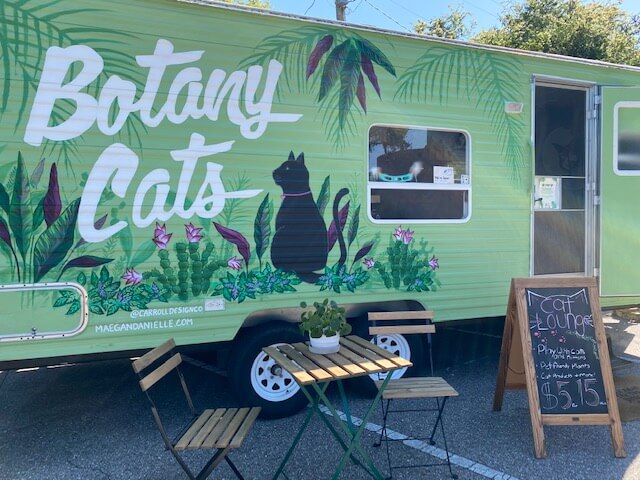 Pawsitive Impact: Cat Café Trend Finds Its Way to Lakeland - LkldNow