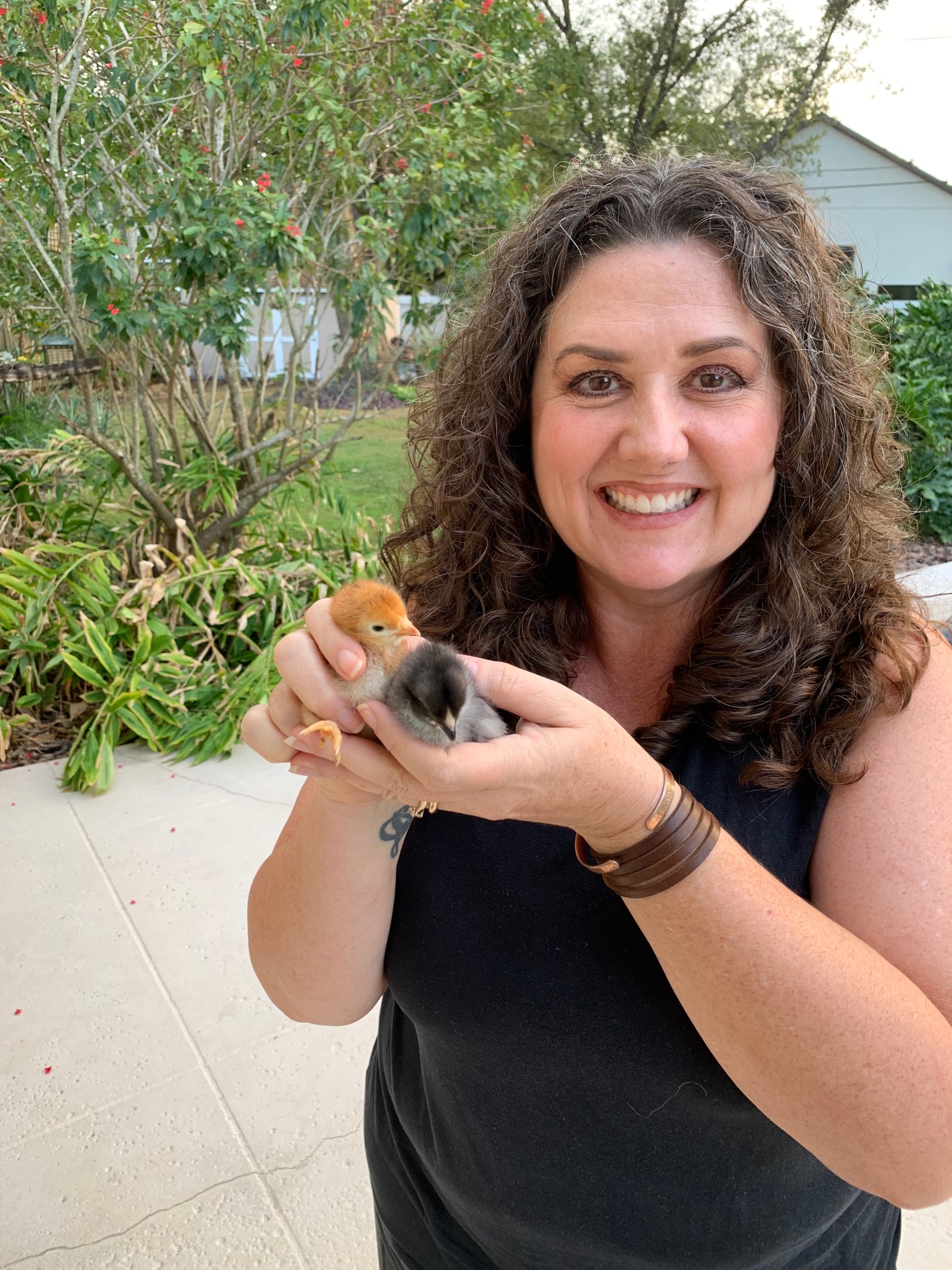 Lakeland Neighborhoods Are Home to a Growing Number of Backyard ...