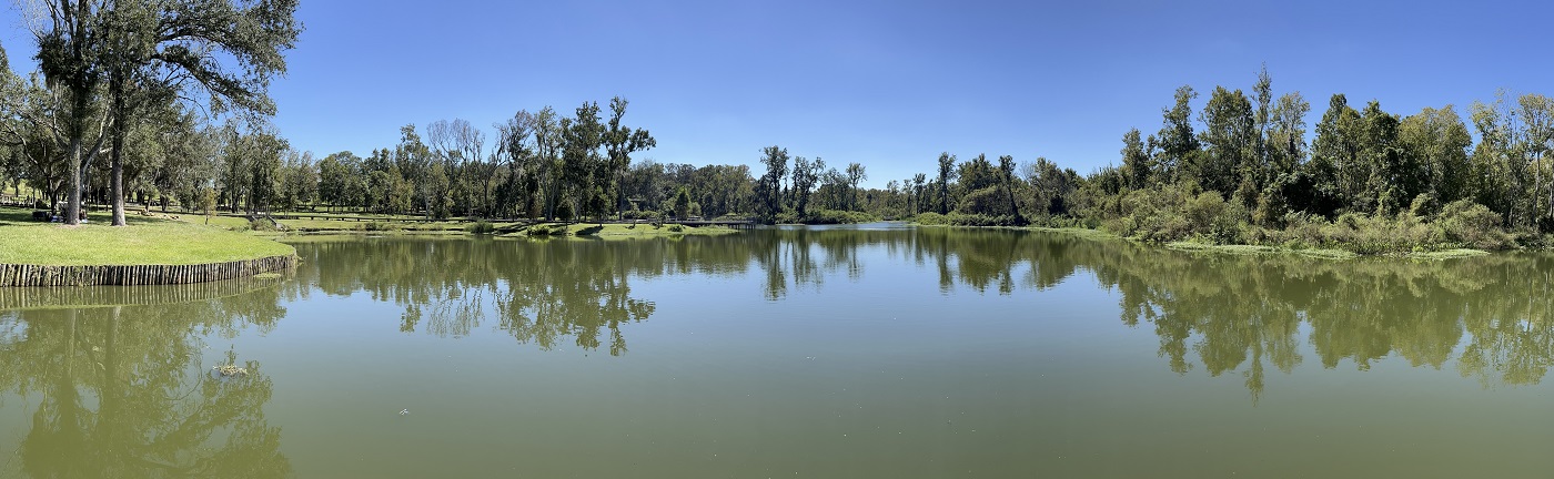 City Accepts $1.7M Grant to Test Cutting-Edge Algae Harvester on Lake ...