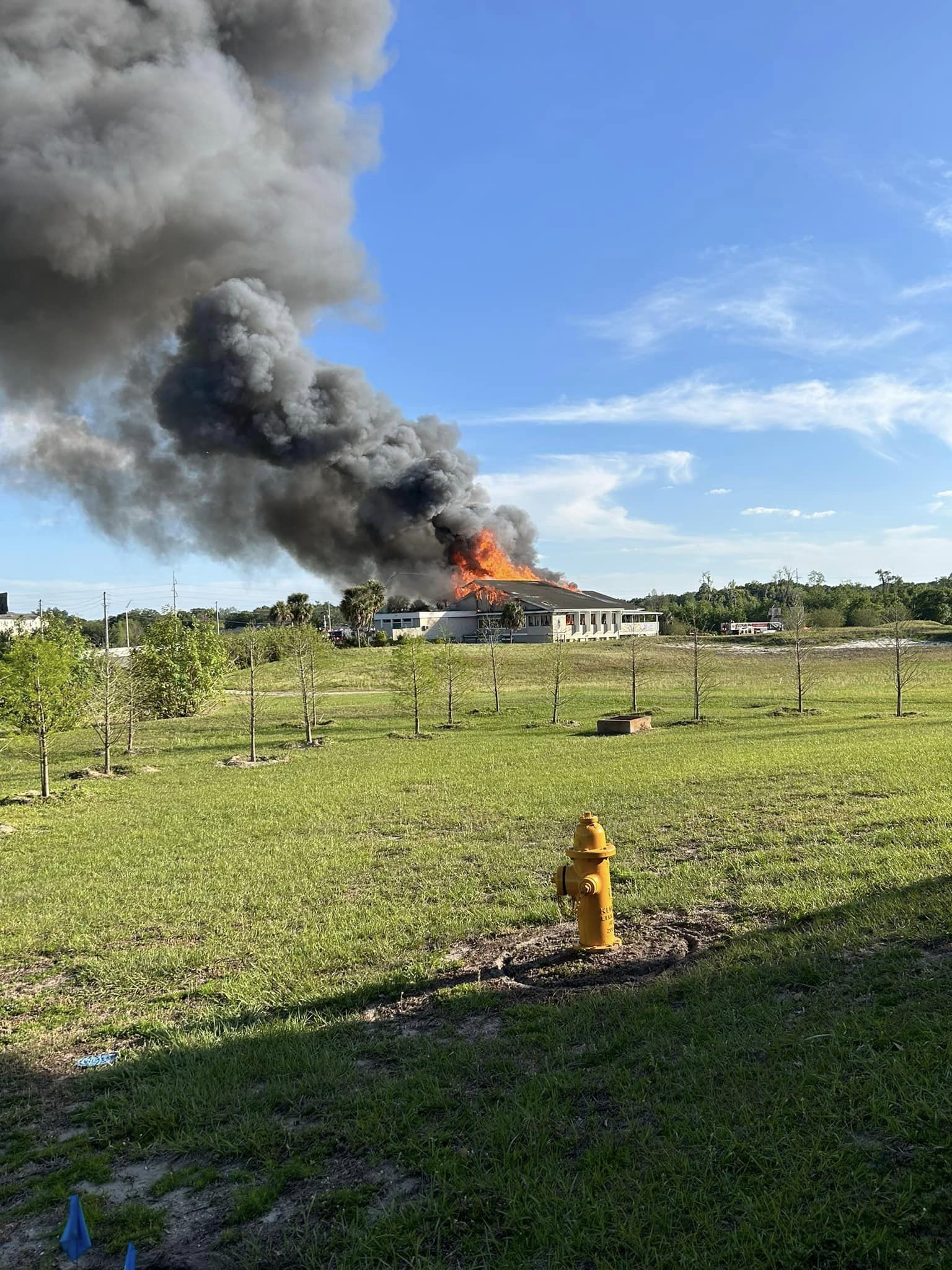 Wedgewood-fire-inital - LkldNow