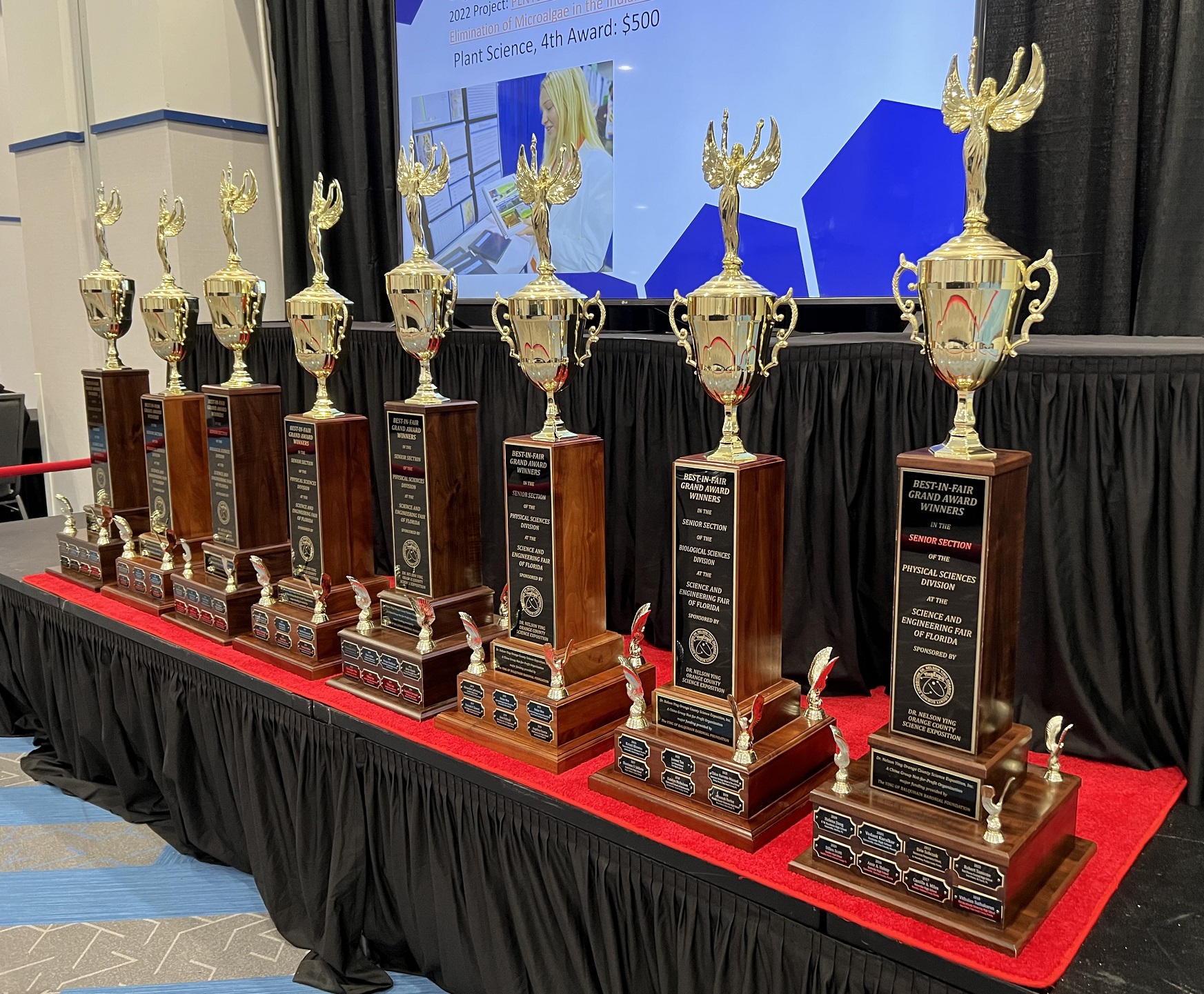 Science Fair Trophies - LkldNow