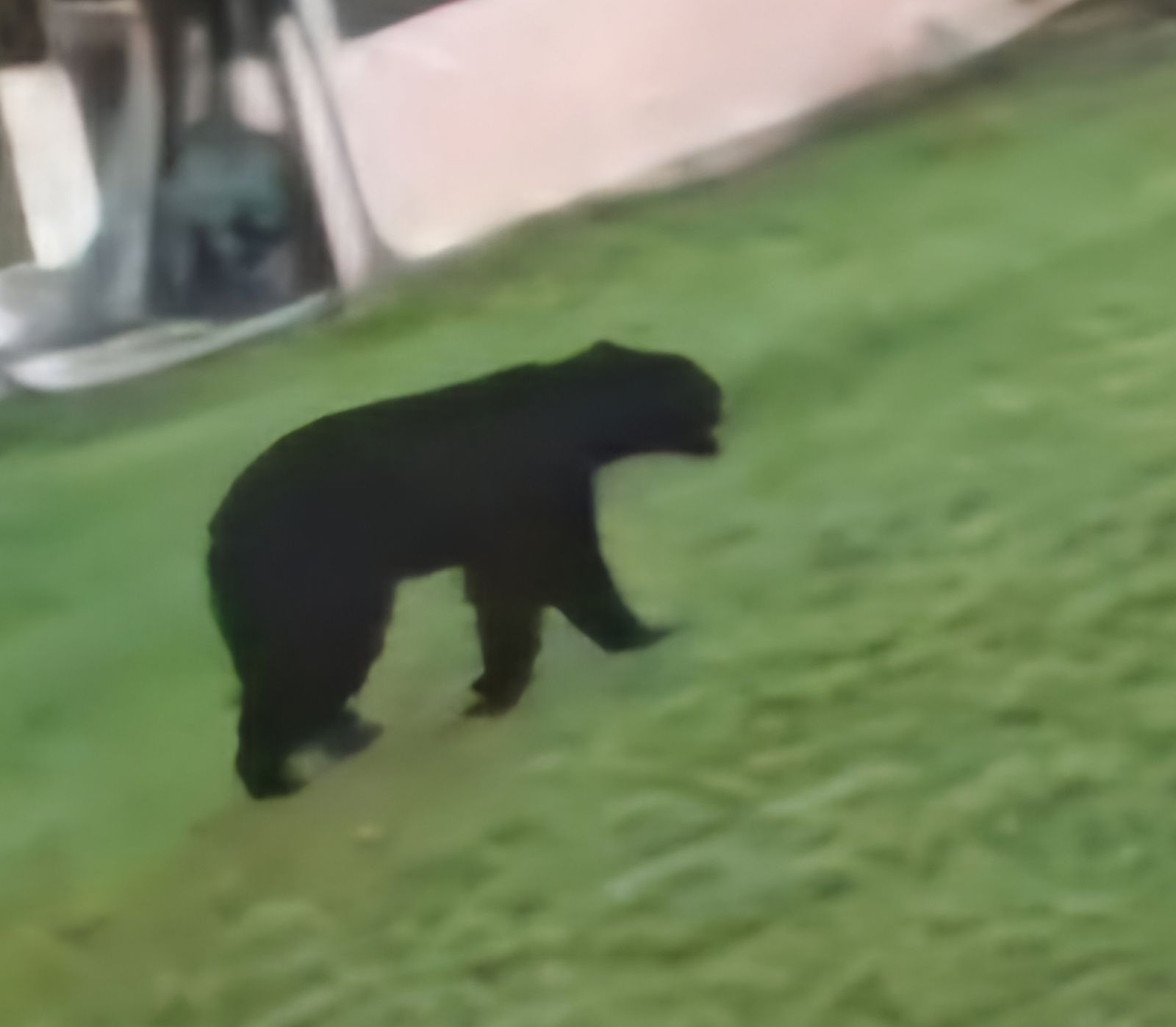 Security Cam 3 Lkldnow