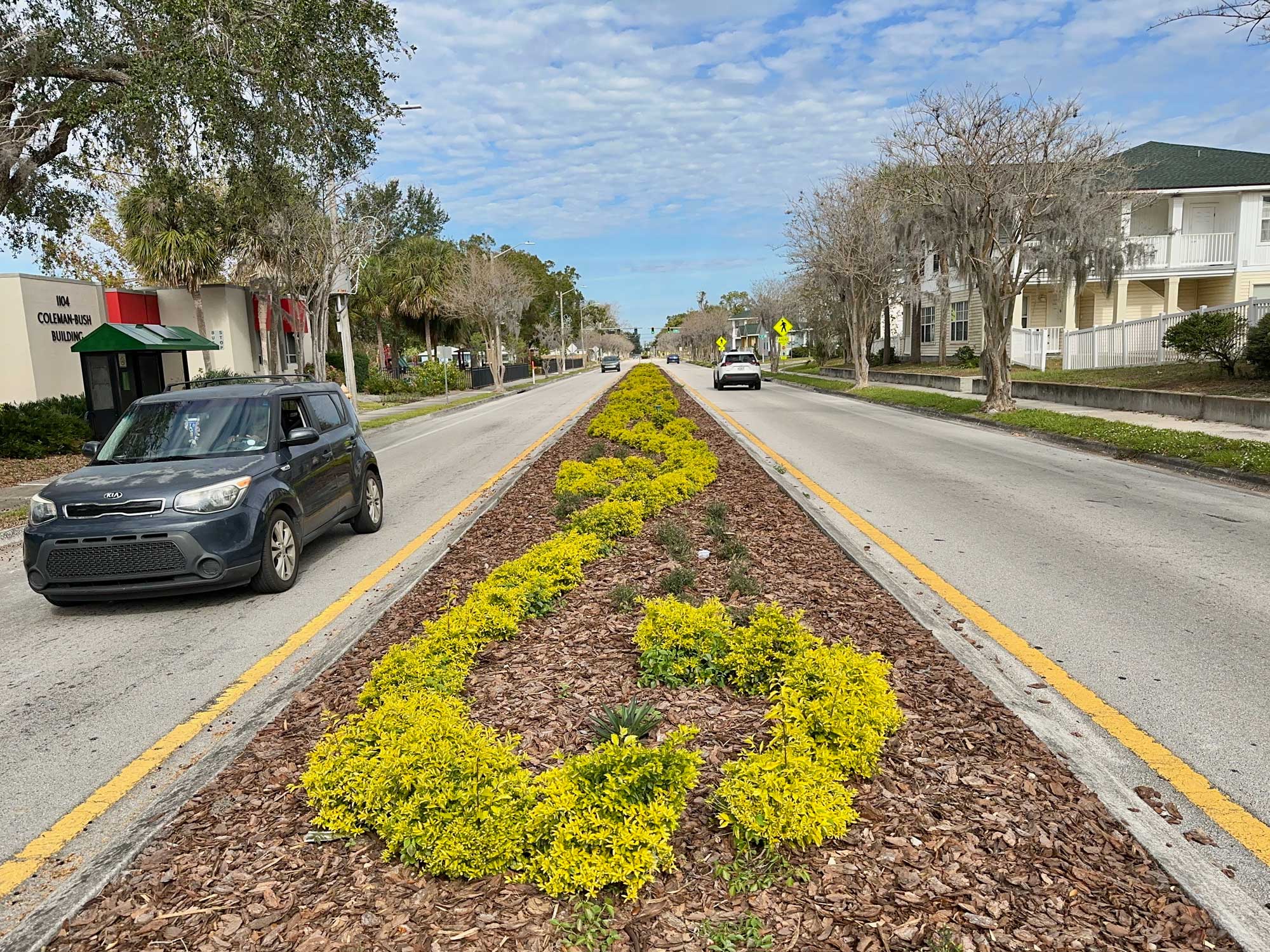 New Median Landscape on MLK Avenue Aims to Improve Safety - LkldNow